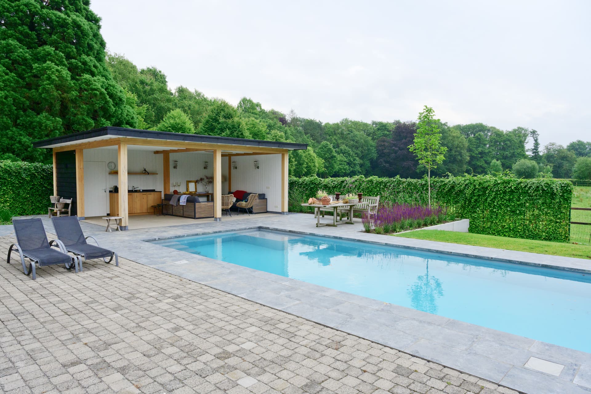 Vijver, zwembad of zwemvijver - Sjoerd Frielink