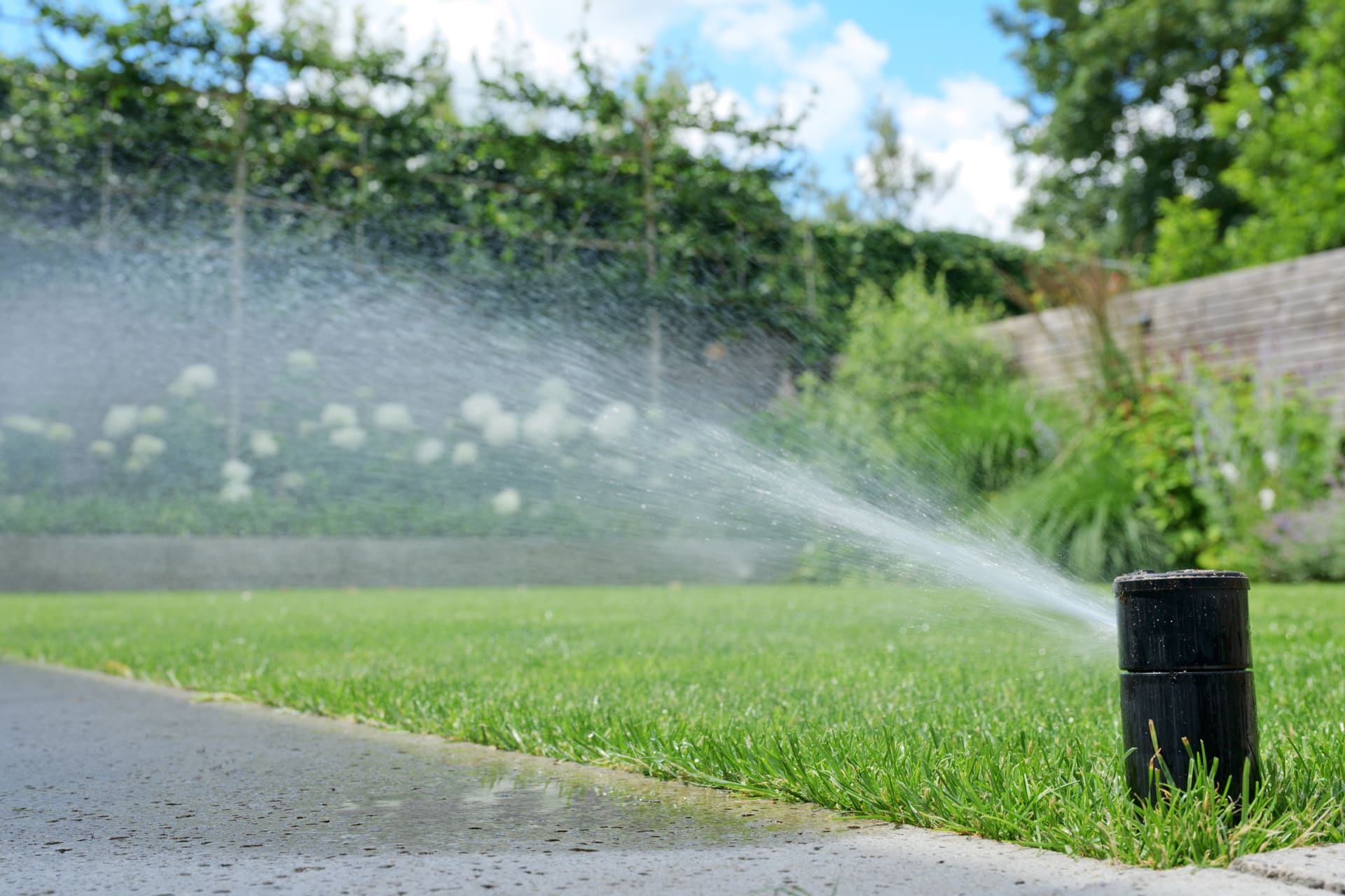 Beregening - Sjoerd Frielink